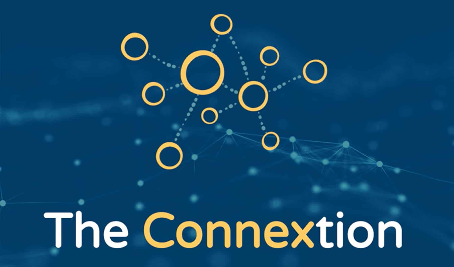 The Connextion: QTI - Connex